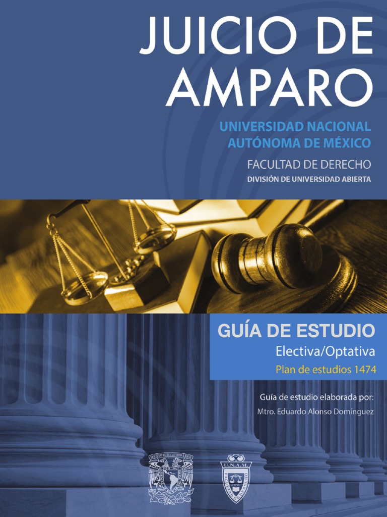 Juicio de Amparo | PDF | Constitución | Caso de ley