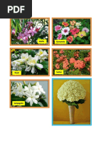 Halamang Dahon | PDF