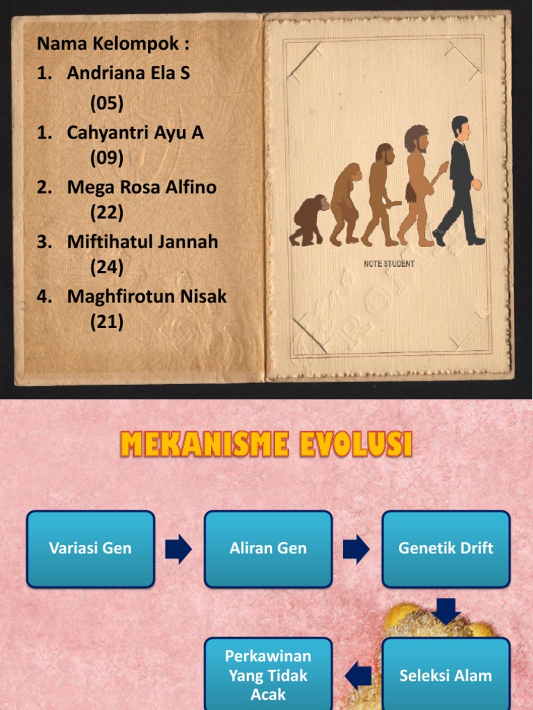 Mekanisme Evolusi | PDF