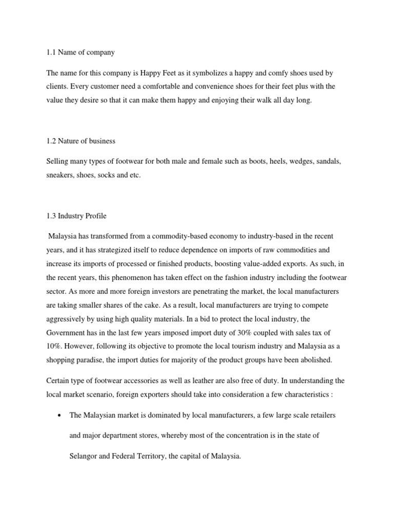 Introduction To Business Plan | PDF | Shoe | Footwear