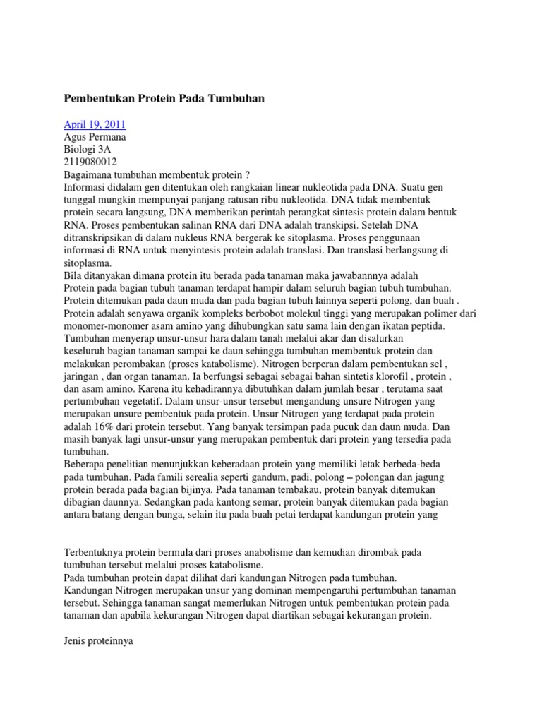 Pembentukan Protein Pada Tumbuhan | PDF