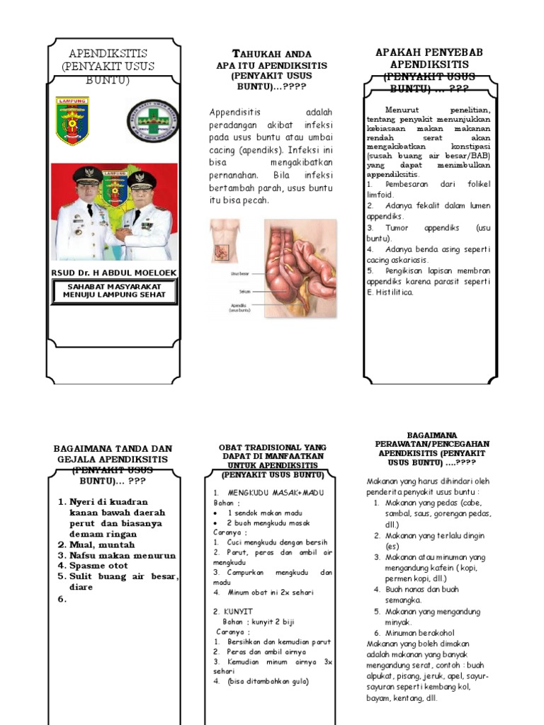 Leaflet Apendisitis | PDF