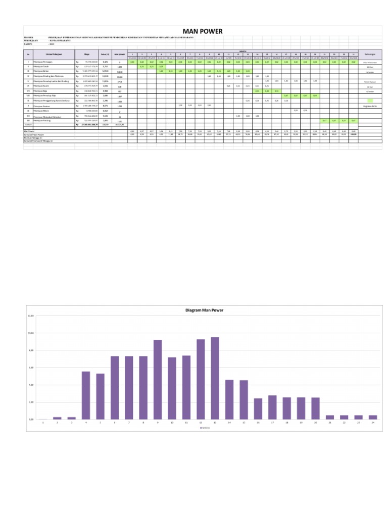 Grafik Manpower, Kurva S, NWP | PDF