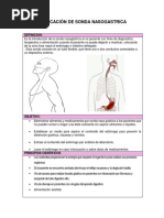 Escala de Capurro | PDF