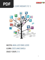 Temas de HySat Medallia | PDF