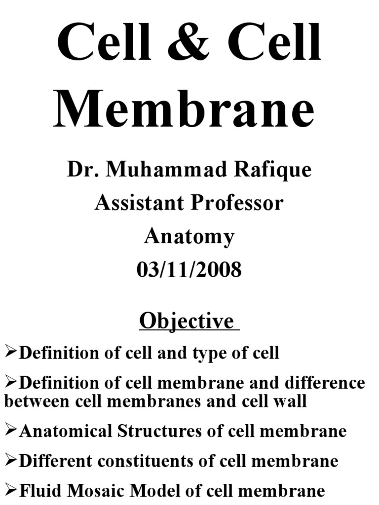 Cell+ +Cell+Membrane | PDF | Cell Membrane | Cell (Biology)