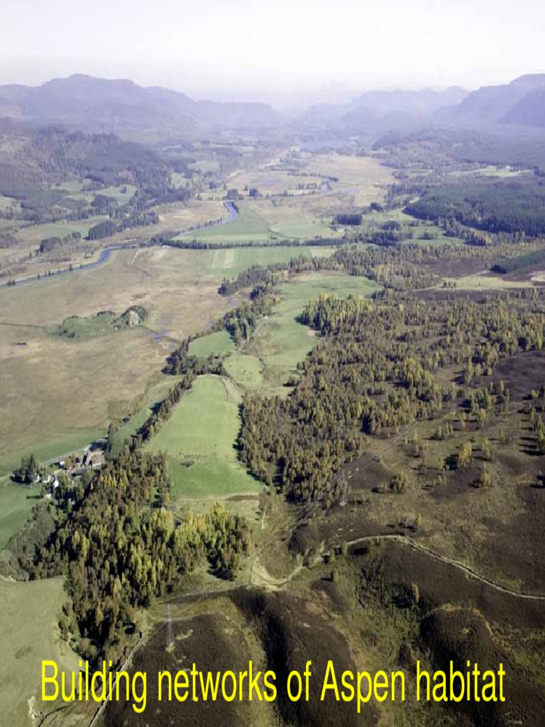 Building Aspen Habitat Networks | PDF
