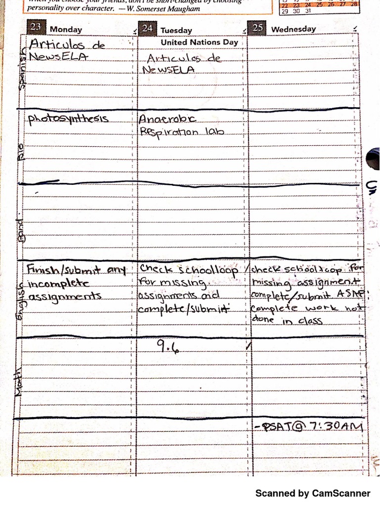 Planner Examples | PDF