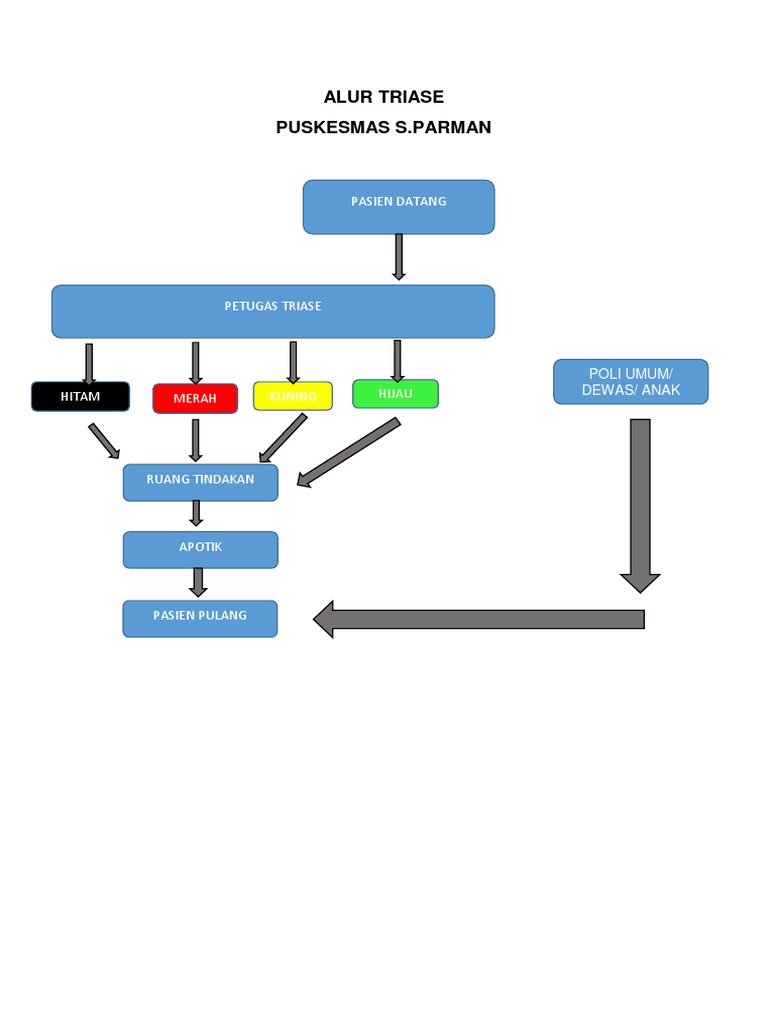 Diagram Alur Triase | PDF