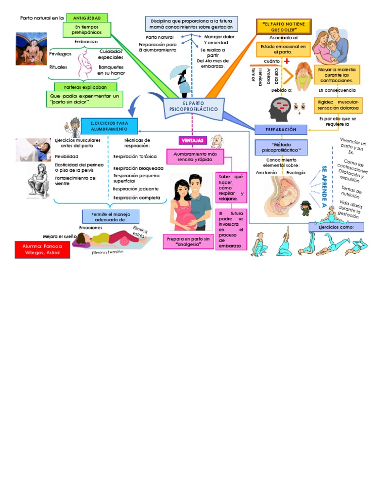 Mapa Mental del Parto Natural | PDF | Parto | El embarazo