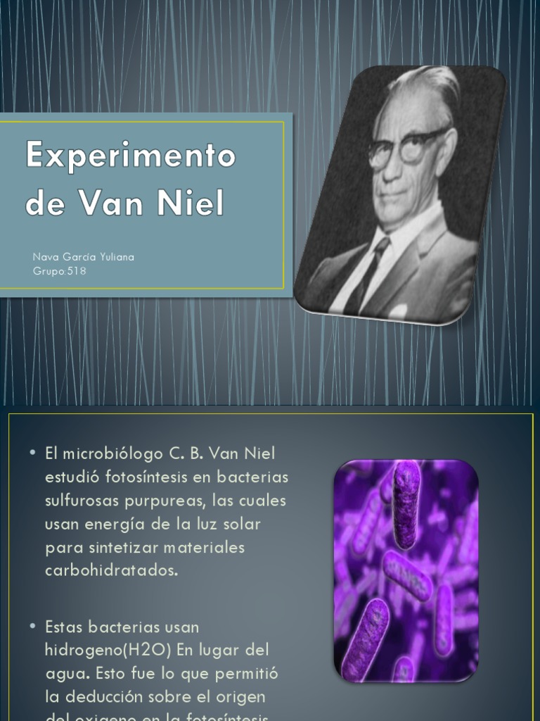 Experimento de Van Niel | PDF | Fotosíntesis | Oxígeno
