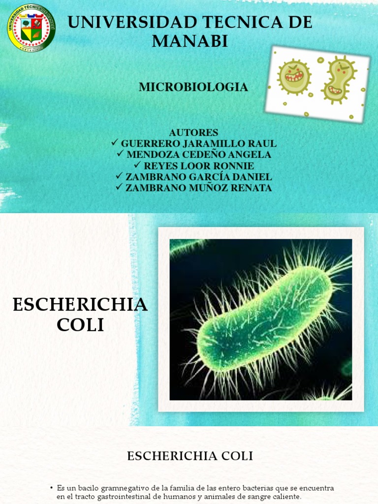 E.coli - Microbiologia | PDF | Escherichia coli | Microbiología