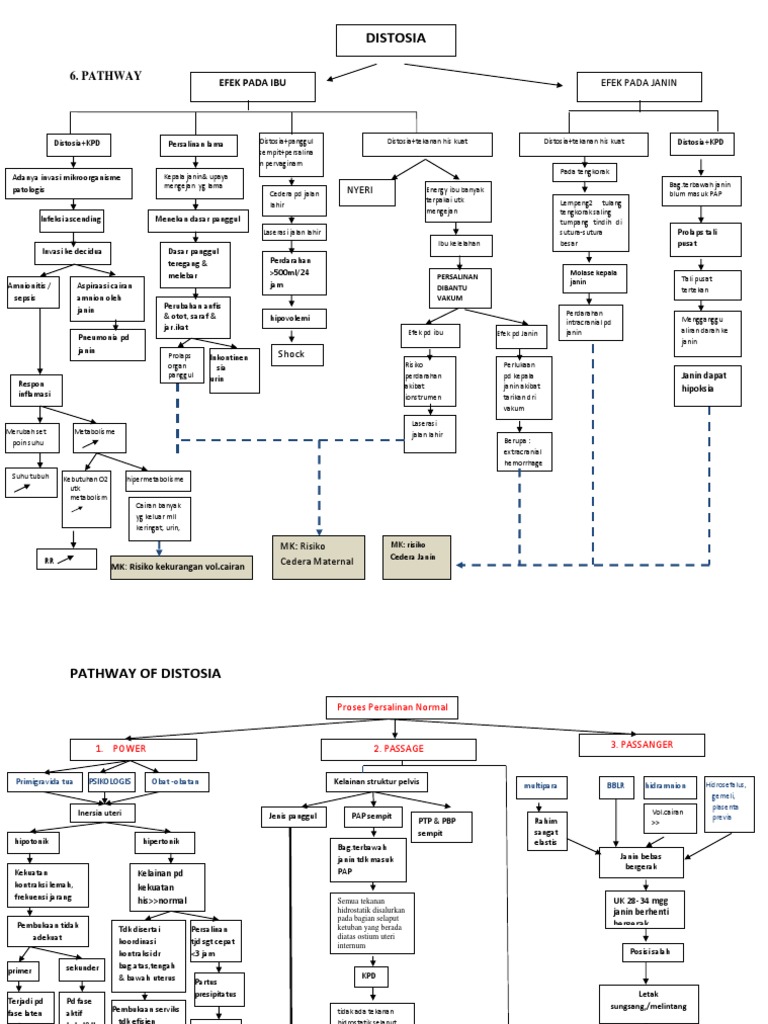 Pathway Distosia Ok | PDF