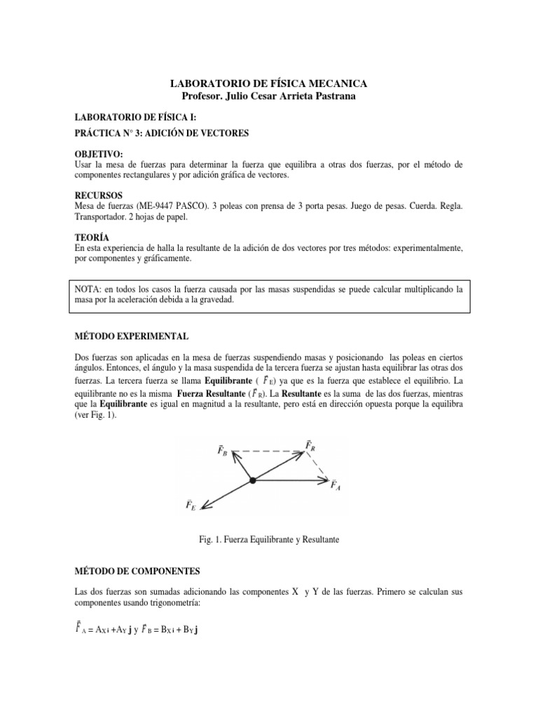 Practica N°3 Adición de Vectores2 | PDF | Vector Euclidiano | Fuerza