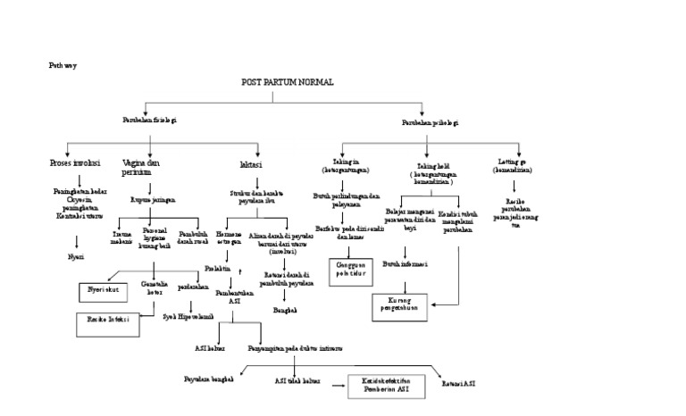 Pathway Post Partum | PDF