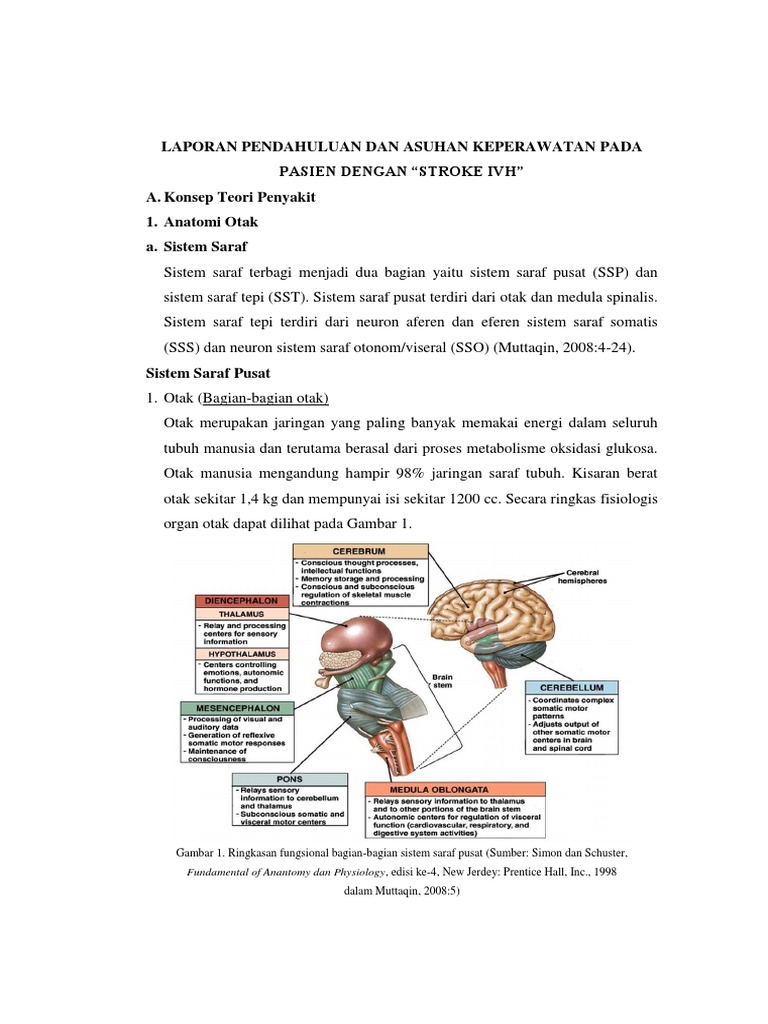 LP Stroke Ivh Kholil | PDF