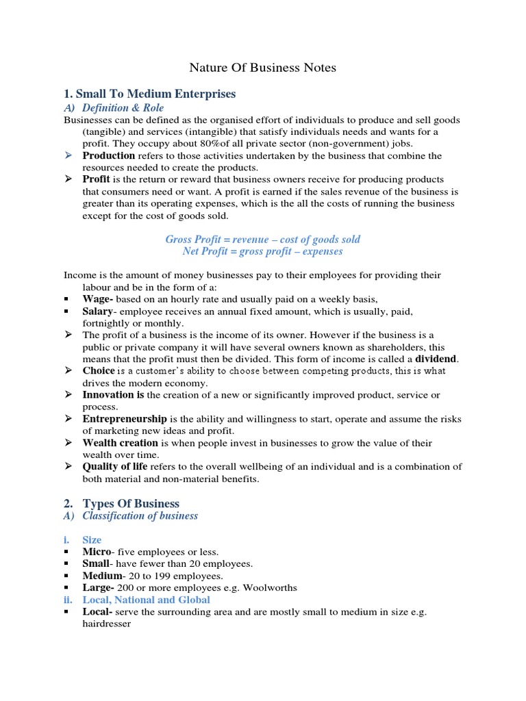 BST Nature of Business Notes | PDF | Privately Held Company | Employment