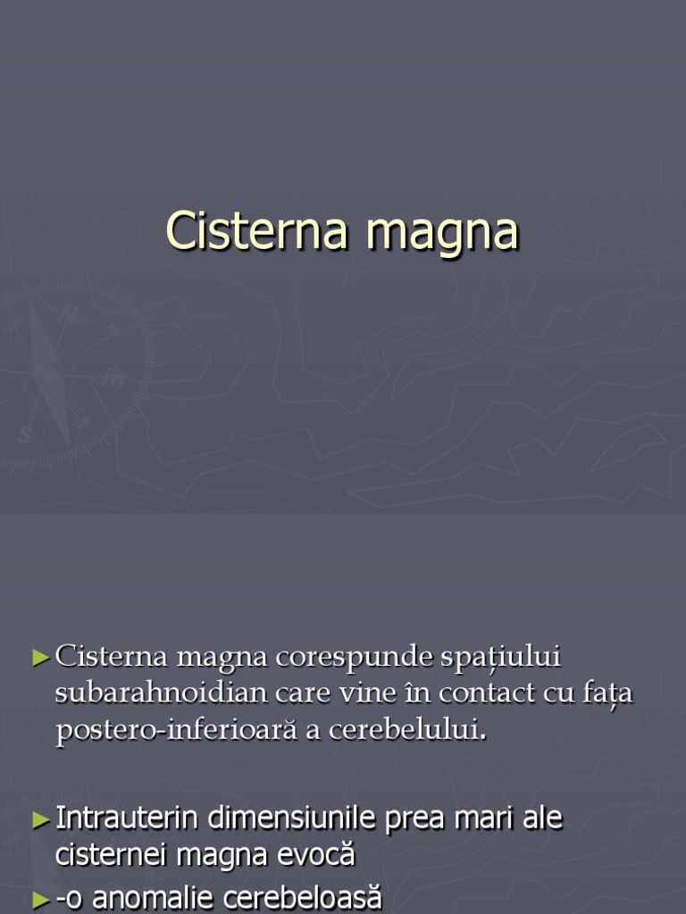 Cisterna Magna | PDF