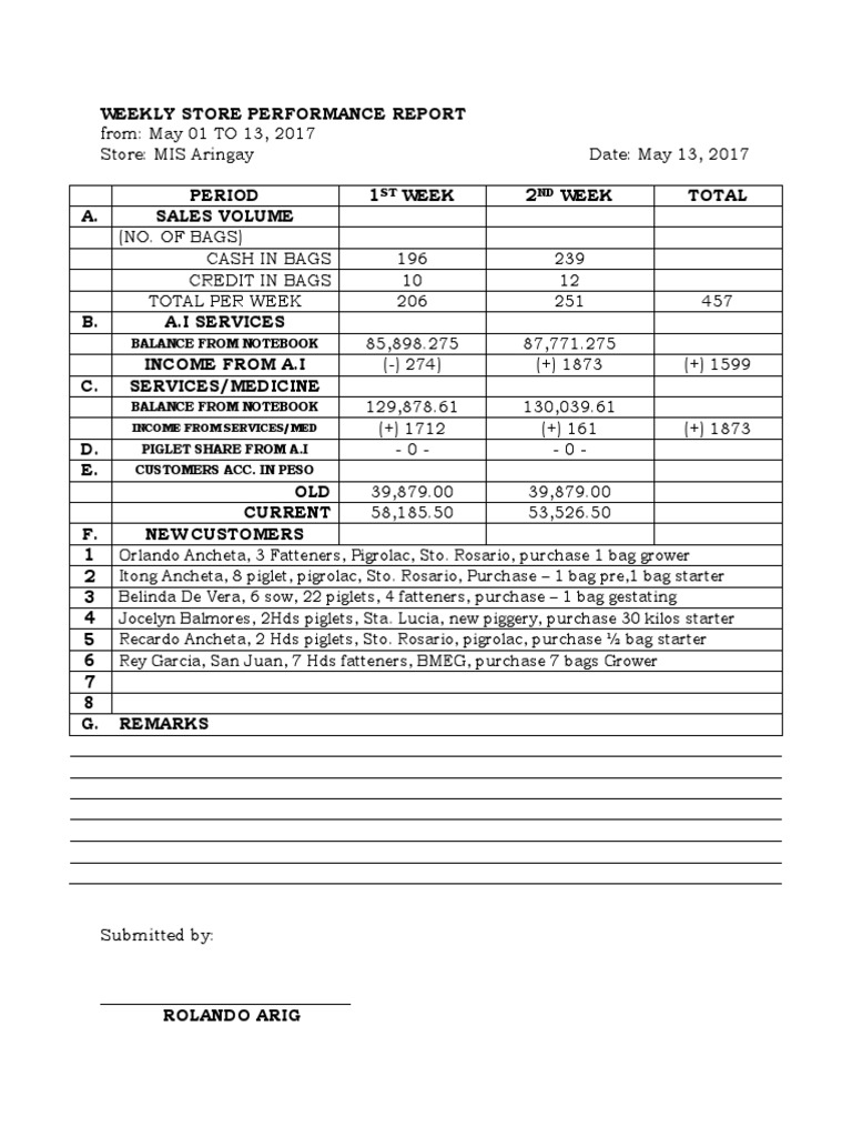 Weekly Store Performance Report | PDF