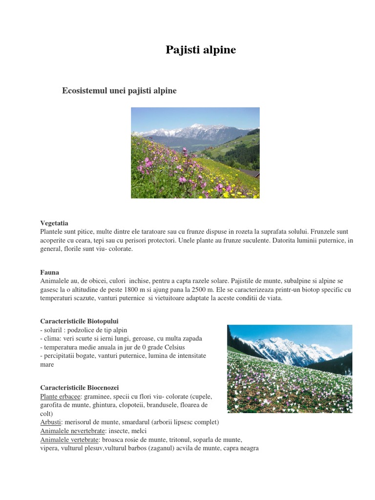 Pajisti Alpine | PDF