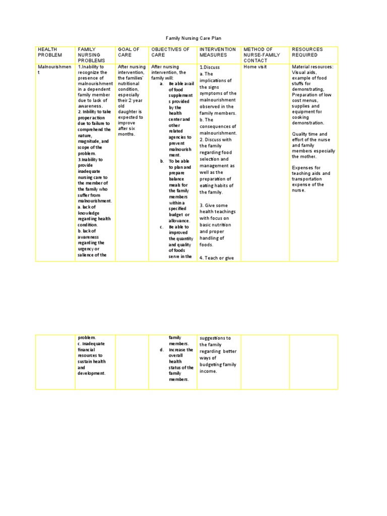 Family Nursing Care Plan | PDF | Malnutrition | Foods