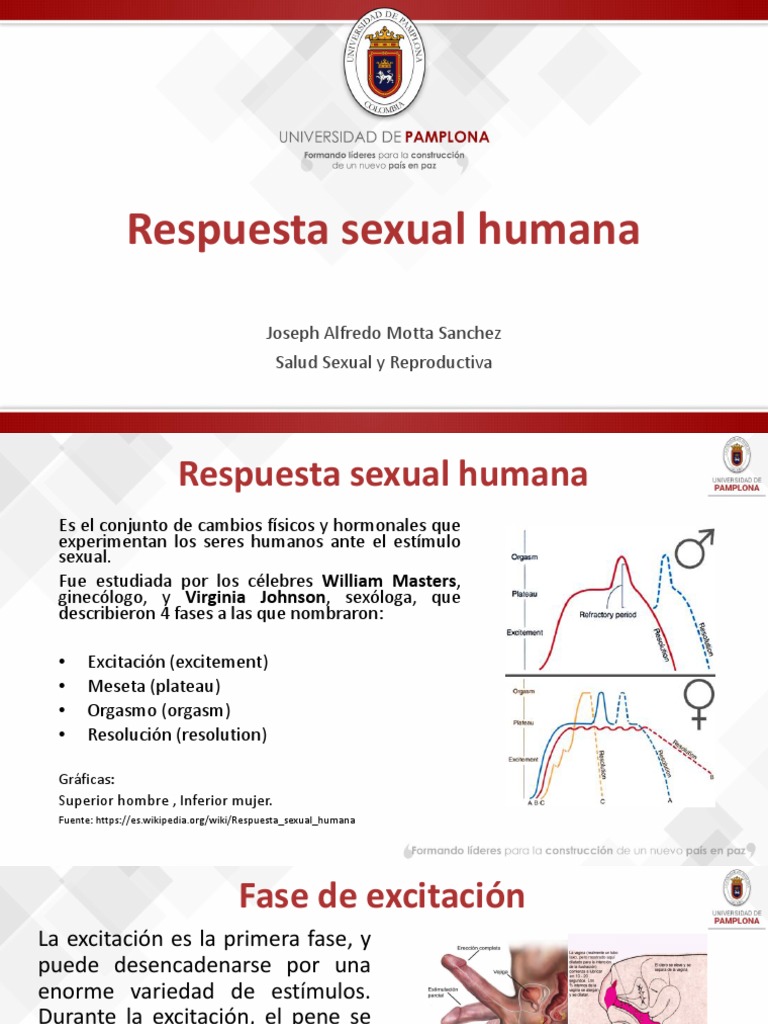 Fases de Excitación Master y Johnson | PDF | Relaciones íntimas ...