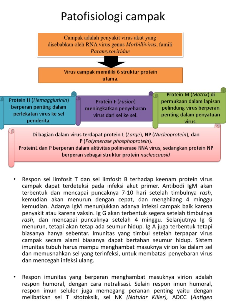 Patofisiologi Campak Fix | PDF