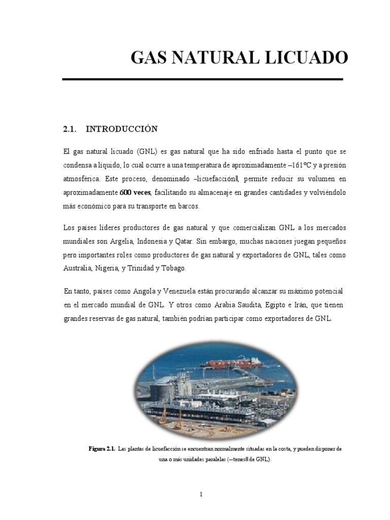 Definición y Proceso del GNL | PDF | Gas natural licuado | Materiales ...