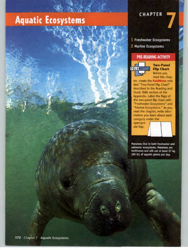 Enviro Science CHPT 07 | PDF | Wetland | Aquatic Ecosystem
