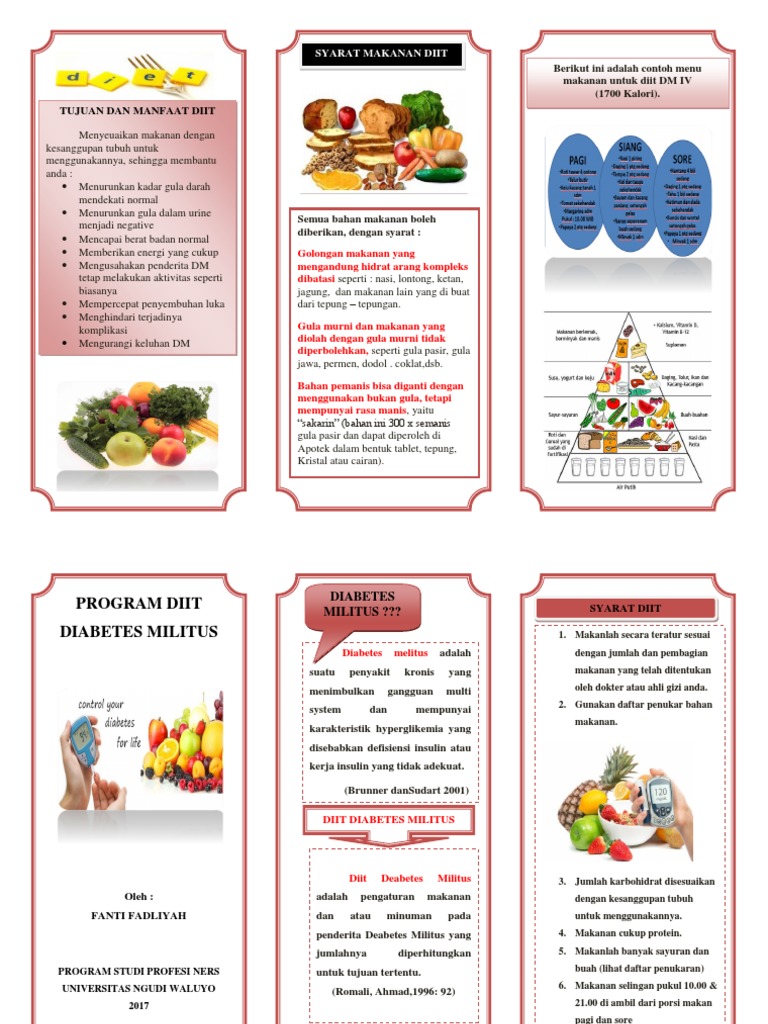 Leaflet Diit DM | PDF