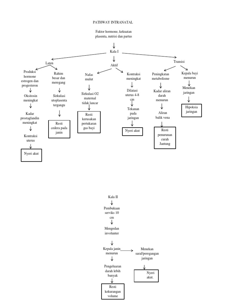 Pathway Intranatal | PDF