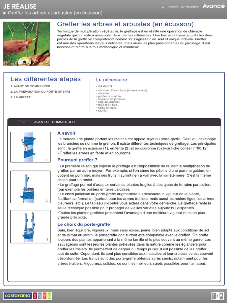 Greffage des arbres en écusson | PDF | Greffe (botanique ...