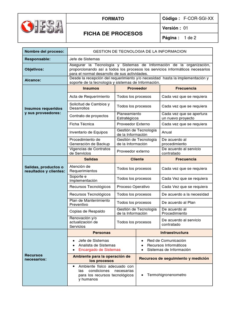 Formato de Ficha de Procesos | Sistema de informacion | Tecnología