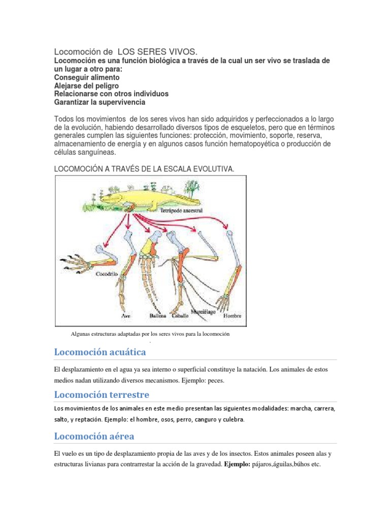 Locomoción en Seres Vivos | PDF