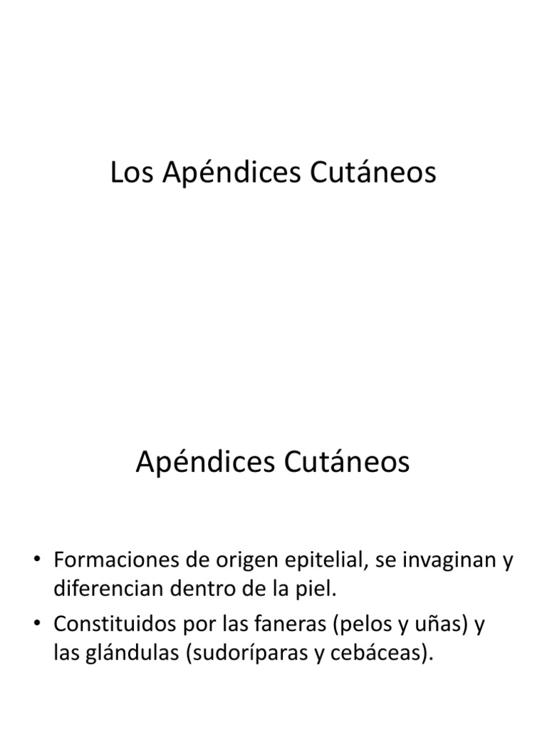 Los Apéndices Cutáneos | PDF | Pelo | Piel
