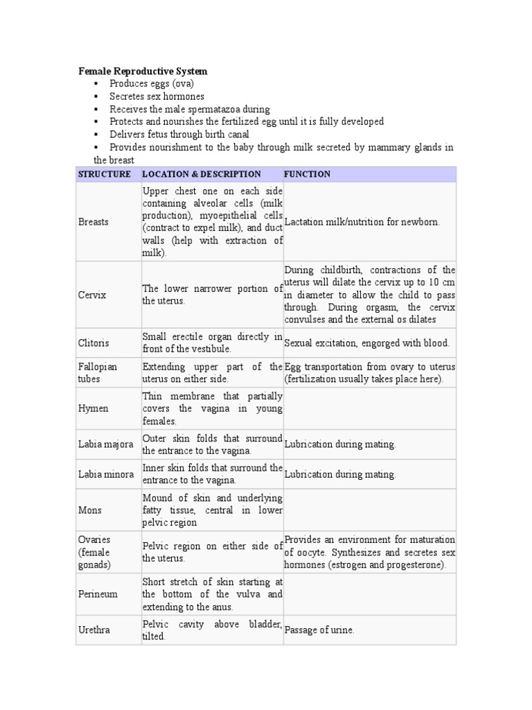 Ana Physio Reprod | PDF | Labia | Vagina