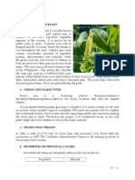 Onion Production Guide PDF | PDF | Onion | Fertilizer
