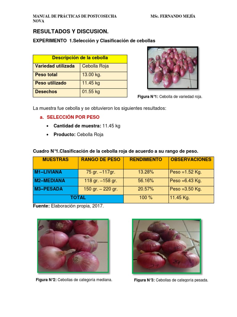Clasificación de La Cebolla | PDF | Destilación | Cebolla
