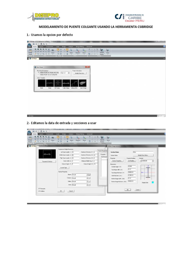 Memoria de Cálculo PTE-COLGANTE - CsiBridge PDF | PDF | Science ...