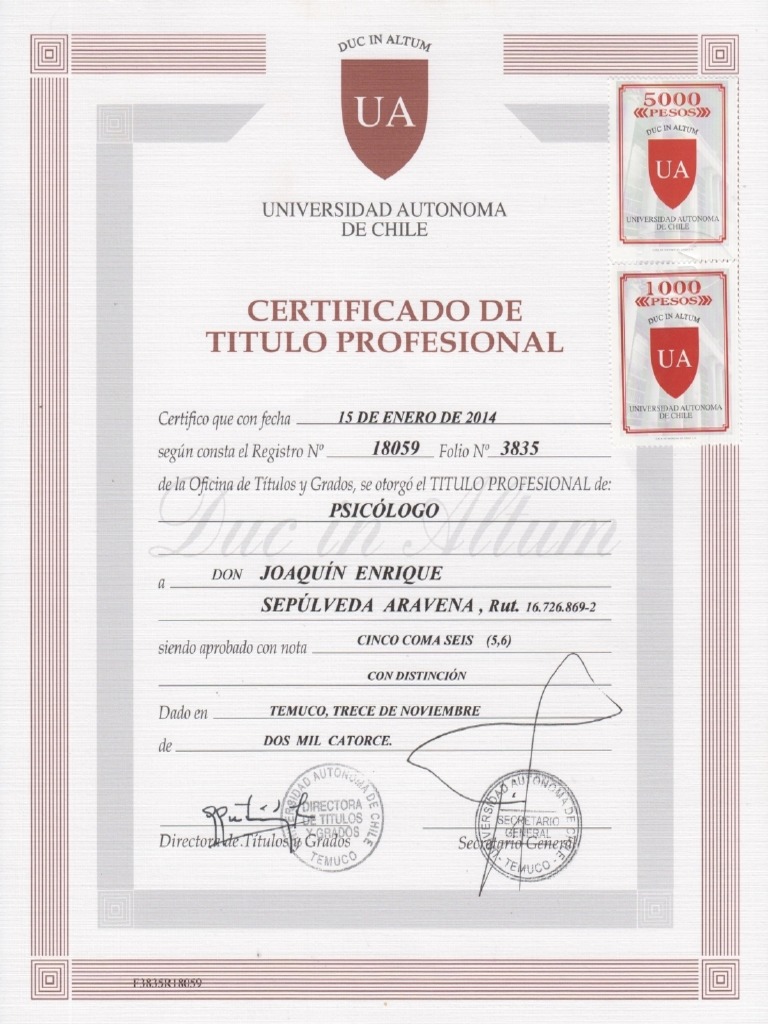 Certificado de Título Profesional - Joaquín Sepúlveda Aravena | PDF