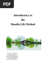 Tai Chi Ruler Book PDF | PDF