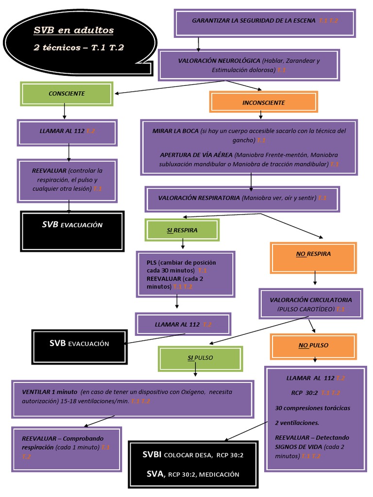 ALGORITMO - SVBa - Tecnicos | PDF | Reanimación cardiopulmonar ...