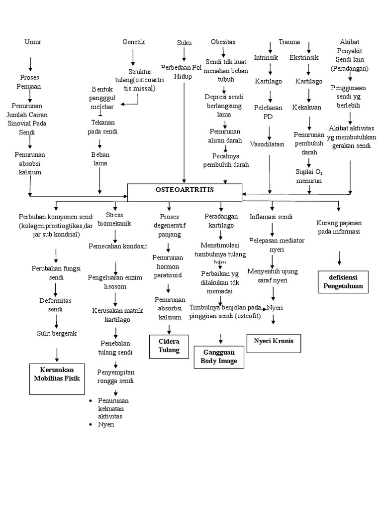 pathway osteoartritis.doc