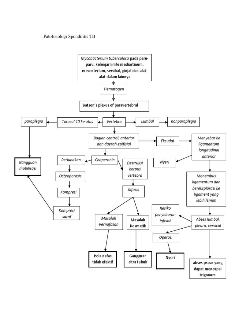 Patofisiologi Spondilitis TB | PDF