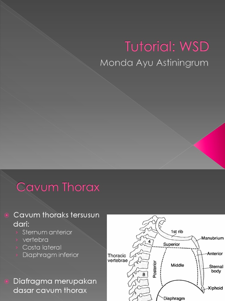 Tutorial WSD, Efusi Pleura Dan Pneumothorax | PDF