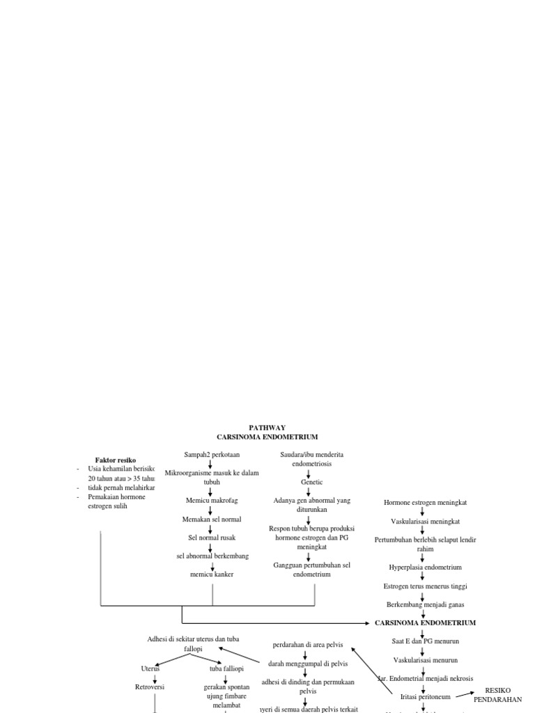 Pathway CA Endometrium Frendy | PDF
