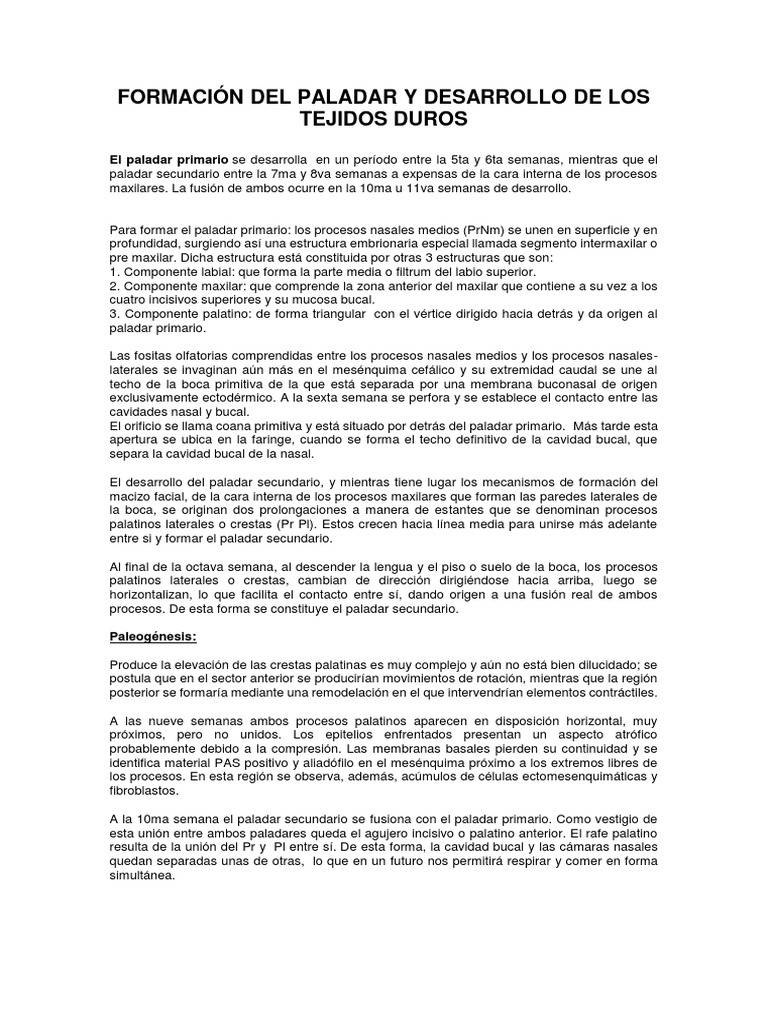 Formación y Desarrollo del Paladar | PDF | Hueso | Anatomía humana