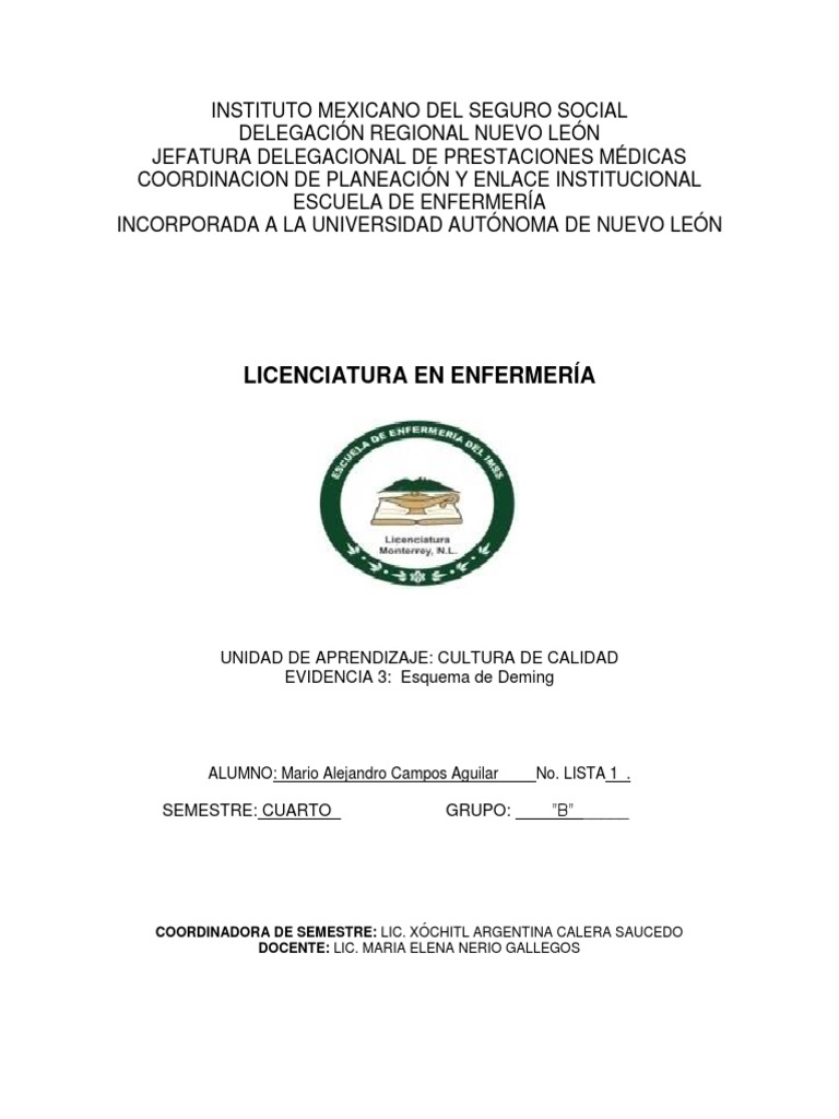 Circulo Deming | PDF | Enfermería | Cognición