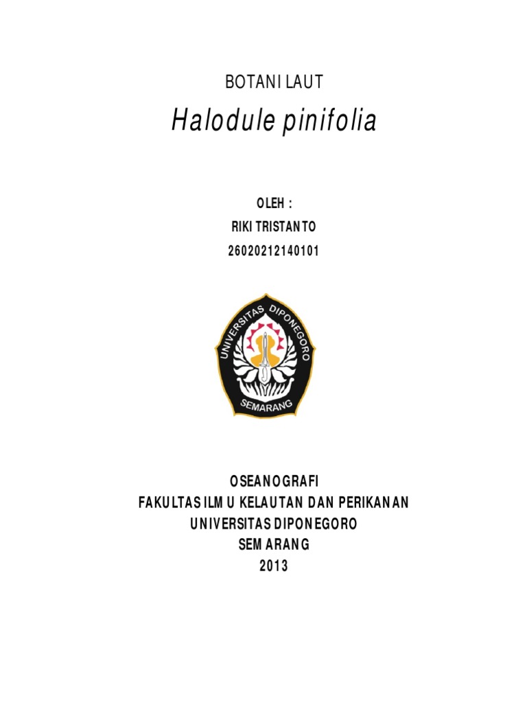 Lamun Halodule Pinifolia PDF | PDF