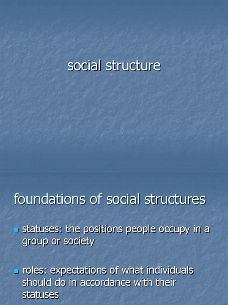 5 Social Structure | PDF | Norm (Social) | Solidarity